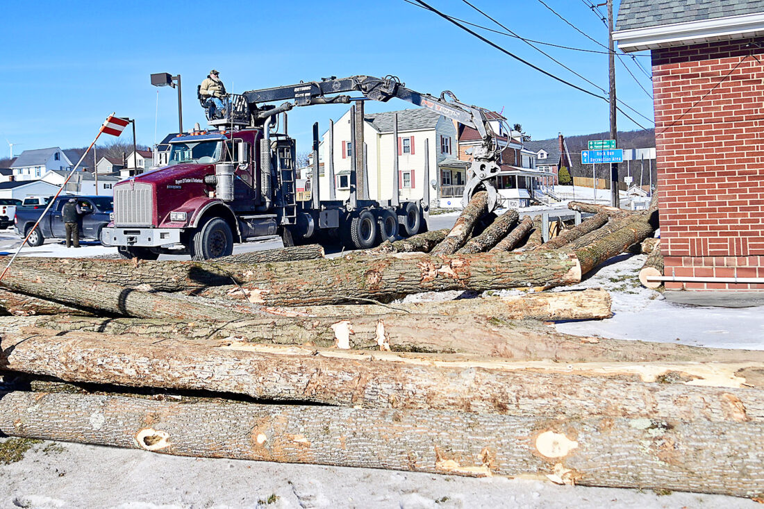 Log rolling | News, Sports, Jobs - Altoona Mirror